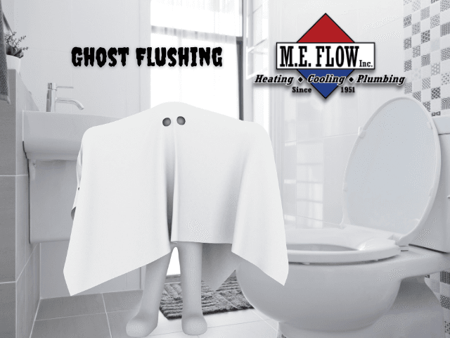Toilet Sounds Like it Flushes Itself | Old Town Alexandria | Plumber